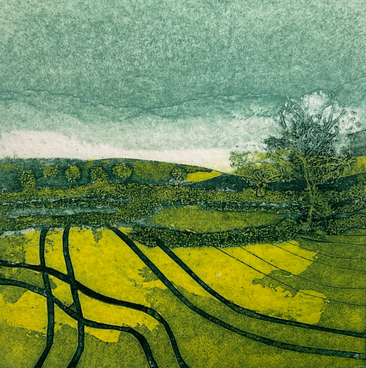 Sarah Ross-Thompson Criss Cross – The Mulberry Tree Gallery