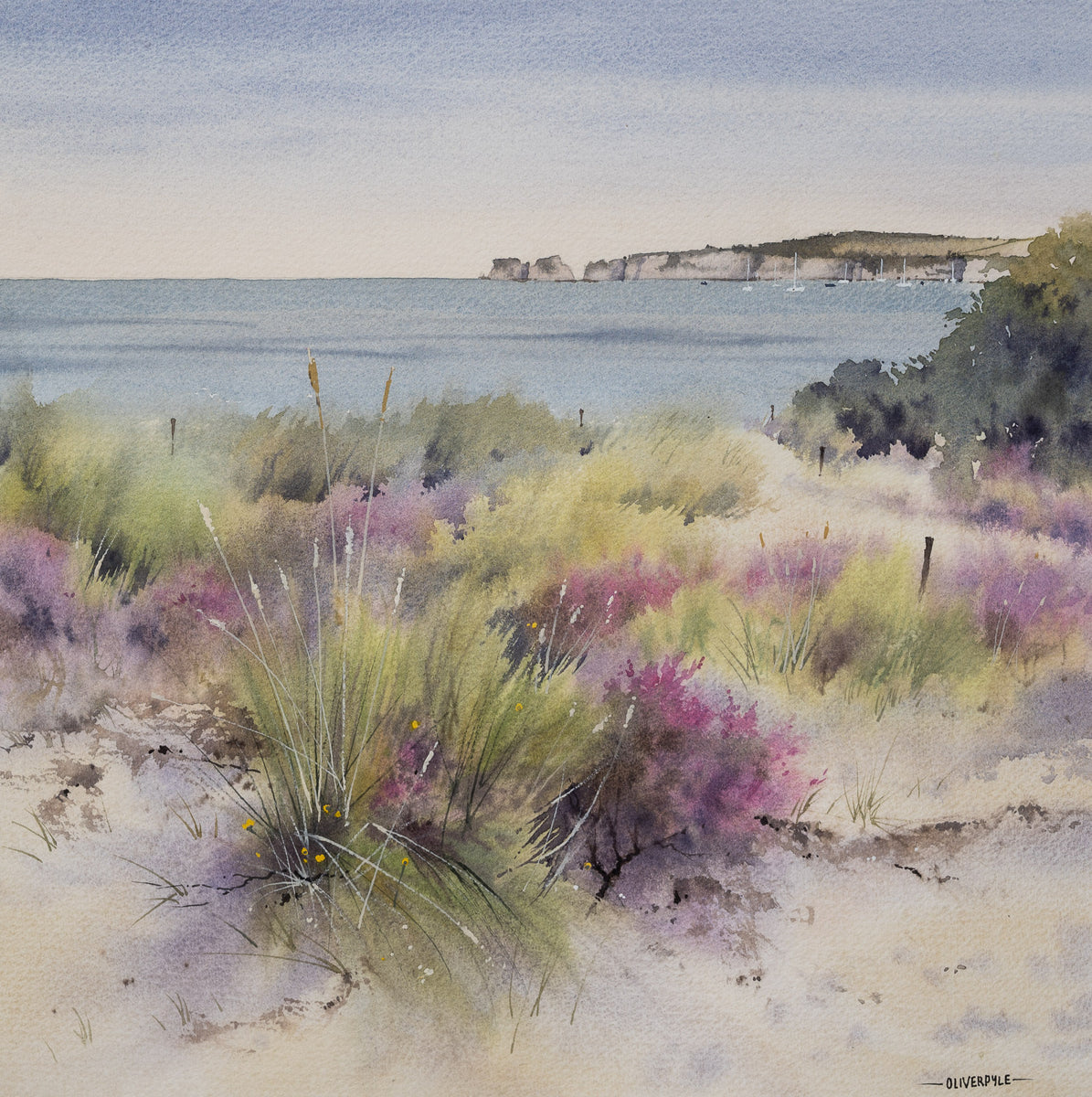 Oliver Pyle - Among the Dunes, Studland Nature Reserve – The Mulberry ...